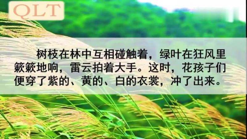 三上《花的学校》课文朗读