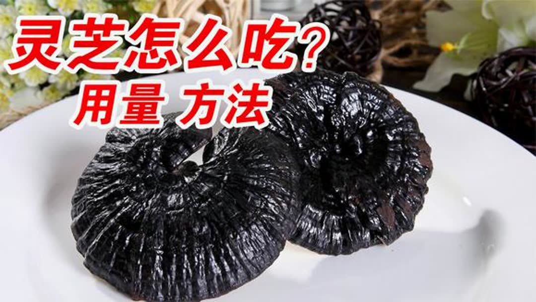 野生灵芝怎样吃效果最好?农村小哥常年采摘紫灵芝,分享食用方法
