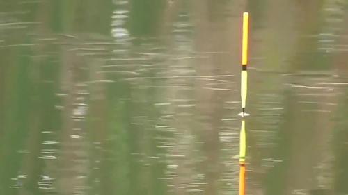 鱼漂陆续的浮动,引起渔民注意,提竿就有货