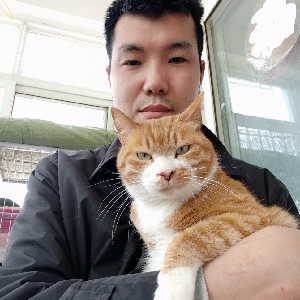 两米高的猫哥和36只猫 