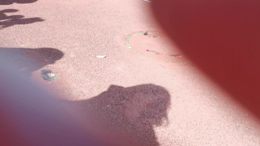 实验小学运动会开幕式满成功。