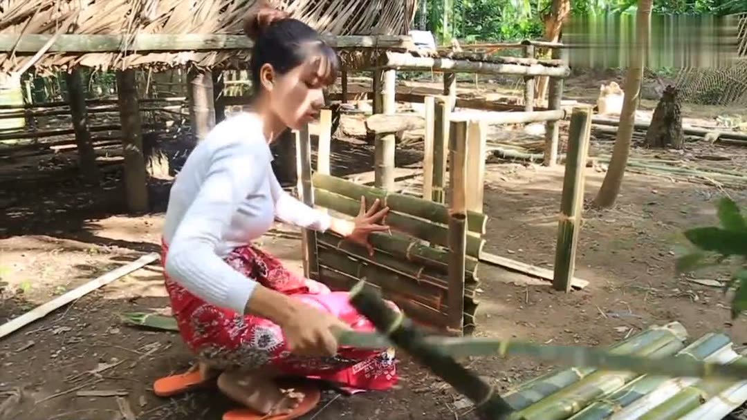 柬埔寨村花教你搭建鸡窝,这手艺真好,大公鸡有家啦!