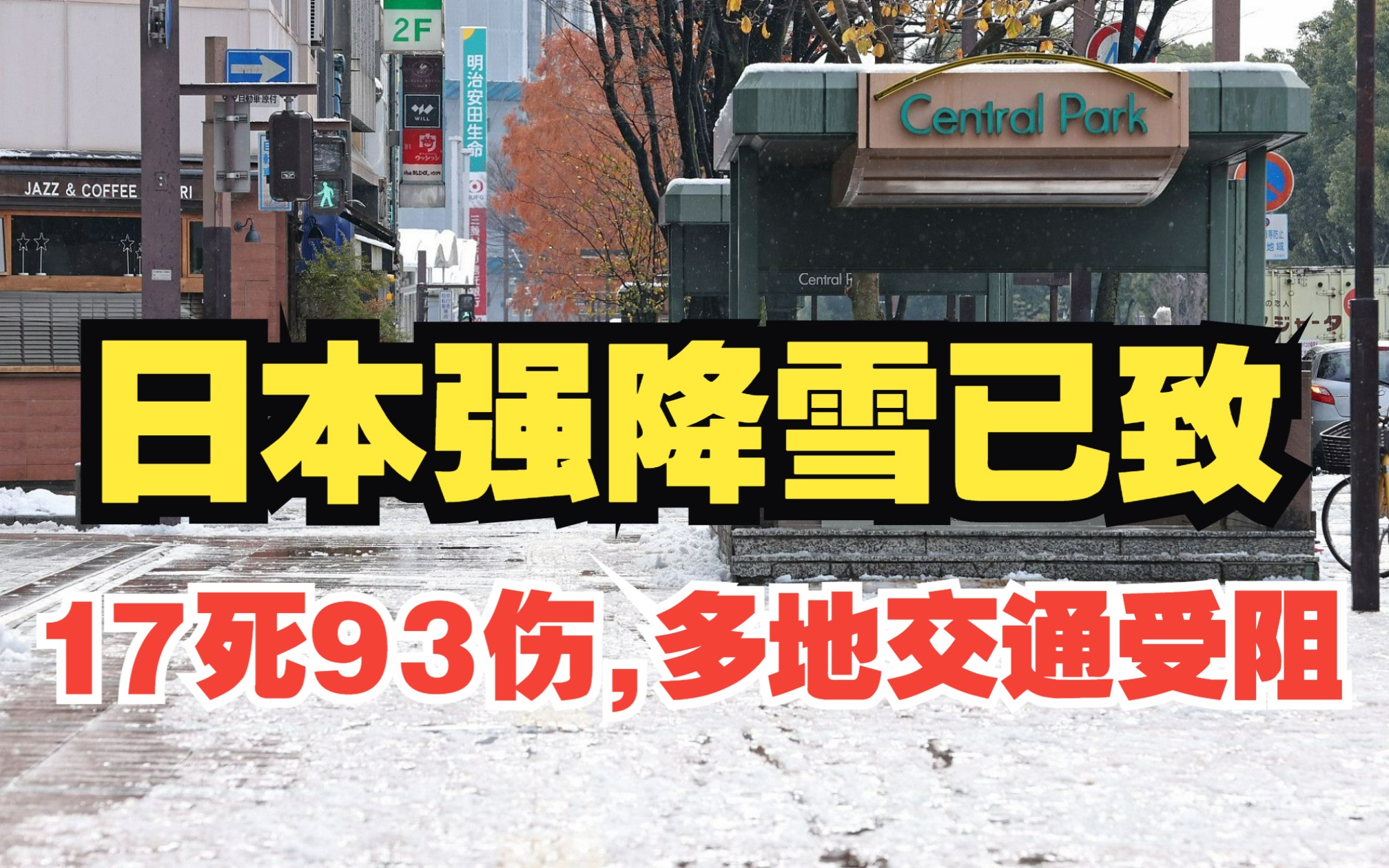 日本强降雪已致17死93伤,多地交通受阻