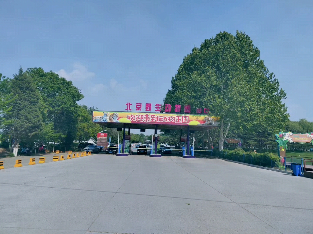 居然动物会表演这种节目!北京野生动物园神奇的地方
