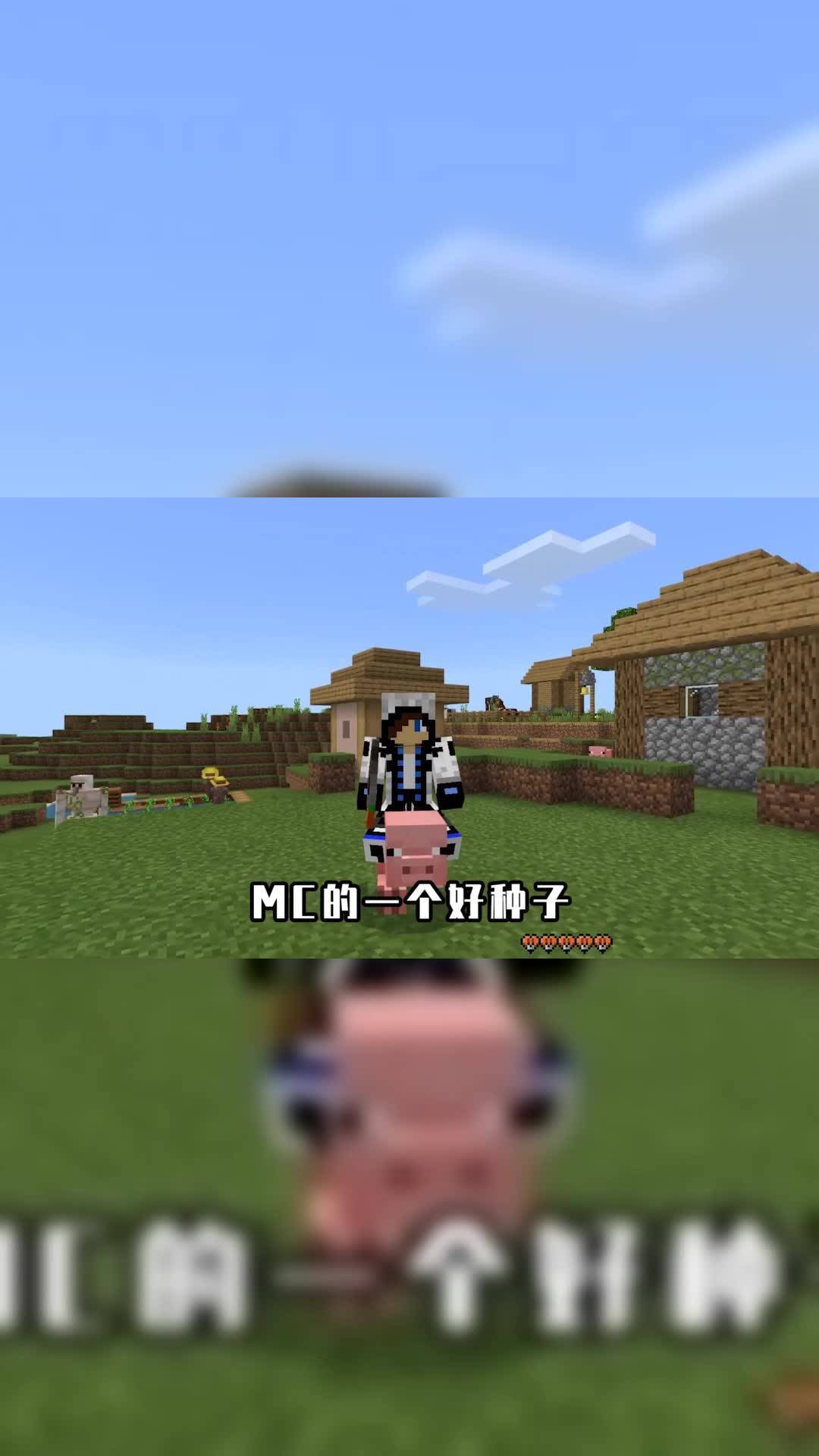 我的世界:盘点2个有超多钻石的种子,村庄下还是要塞,轻松通关