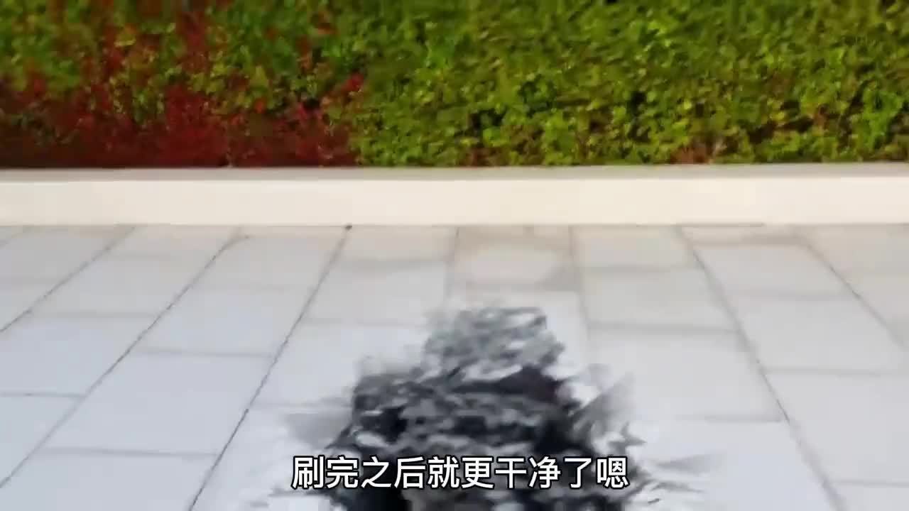 小男孩进入三个神奇的汽车门,竟然可以变成了不同的小超人