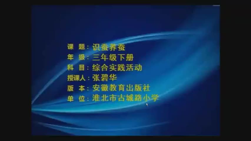 小学综合实践3-6年级4