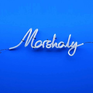 Marshal_Y 