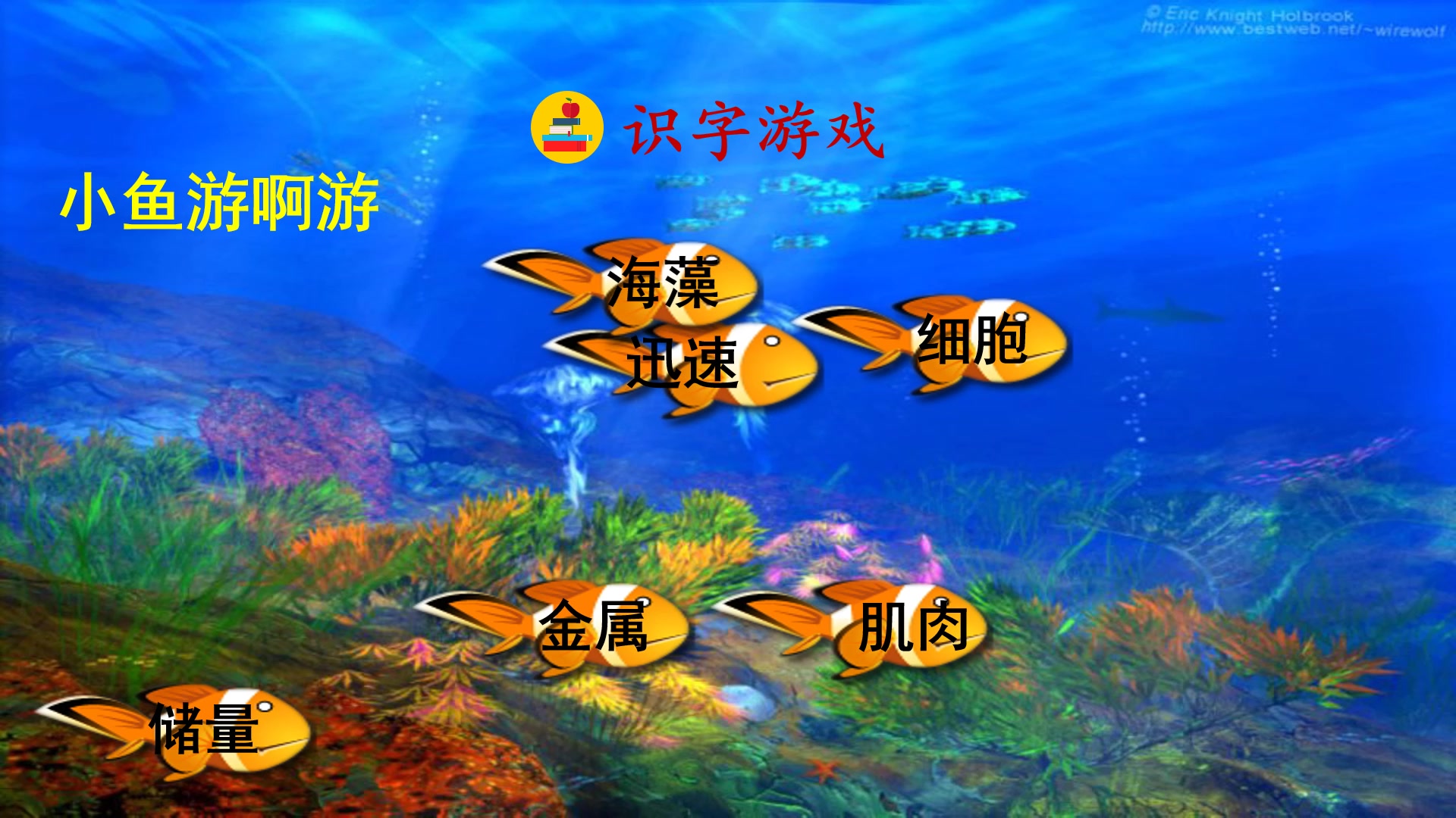 【课件】《海底世界》部编人教版三年级语文下册YW03B-089-KJ