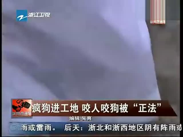 视频: 疯狗进工地咬人咬狗被正法 100824 新闻直通车