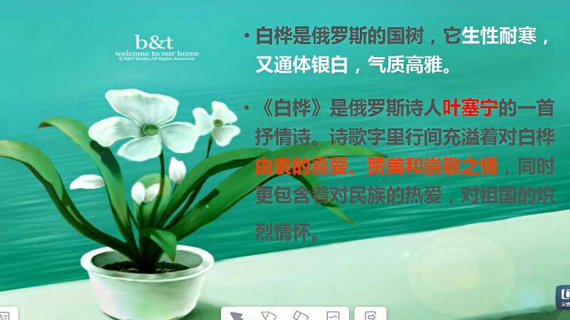 领略北国风情,欣赏现代诗篇,跟阿彩老师学部编四下语文11白桦吧