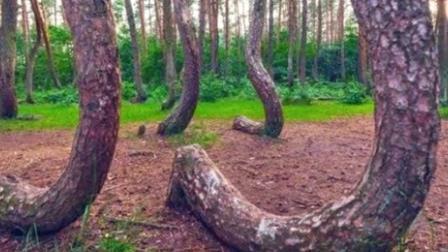 4个最真实存在的神秘之地,那里的现象令人困惑,至今无法解释