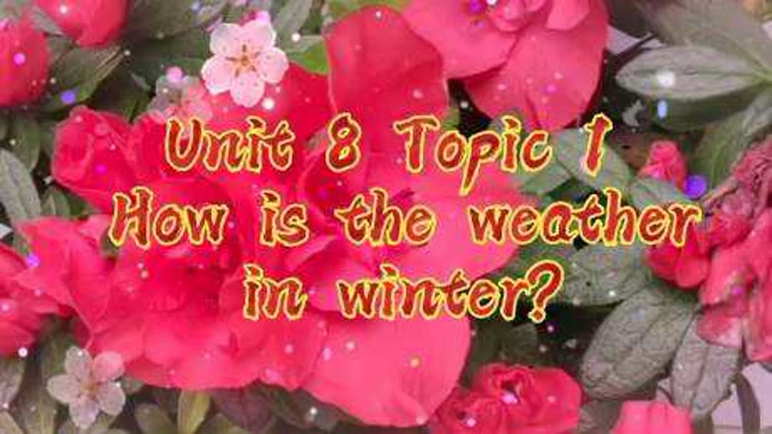 仁爱版英语七年级下册Unit8Topic1单词学习