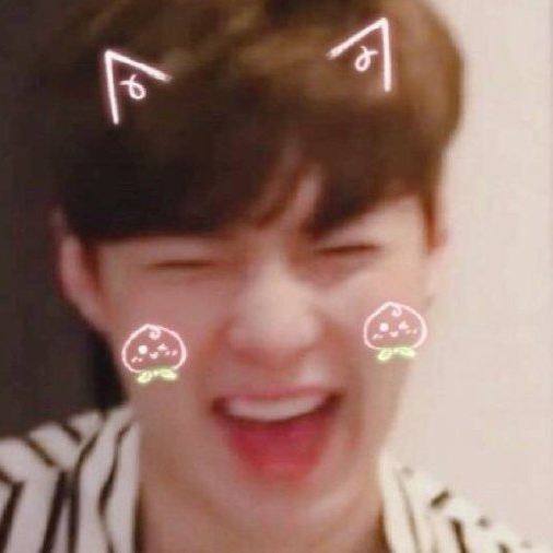 9496只搞小甜和cp 