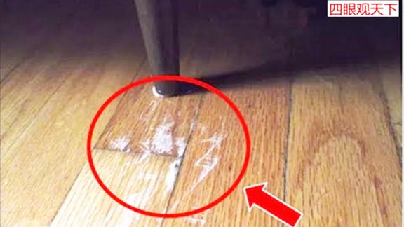 搬动家具,家里木地板留下难看刮痕?只需5分锺,完全恢复原状!