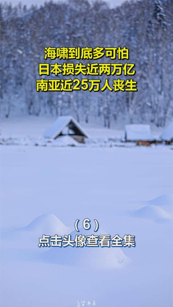 海啸到底多可怕?日本损失近两万亿,南亚近25万人丧生!6