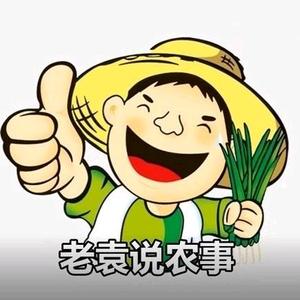 老袁说农事 