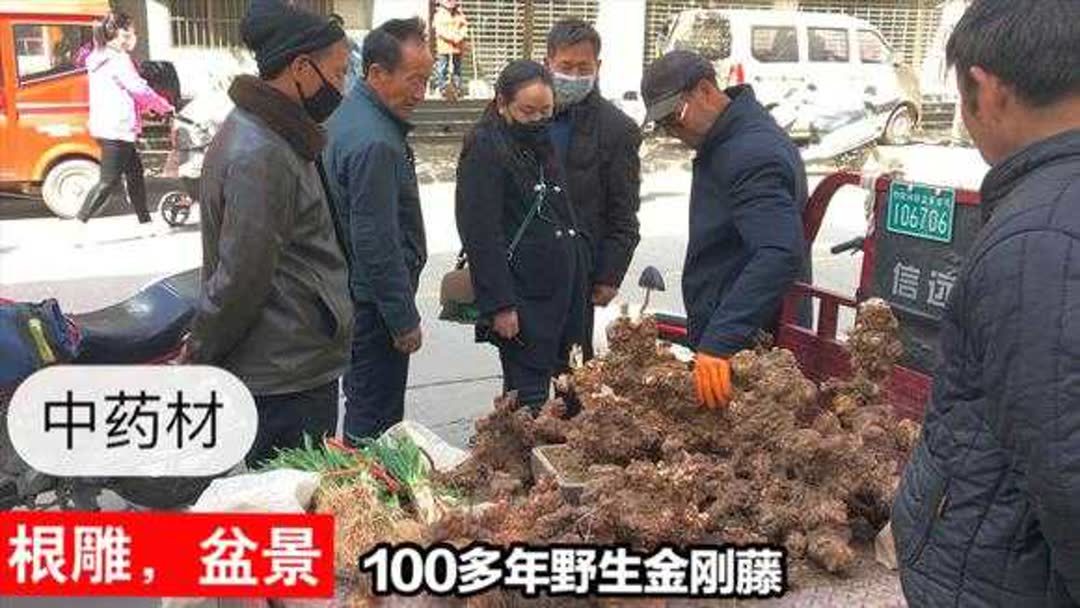 100多年的中药材金刚藤,农村大爷制作成盆景,赶集的人都来围观