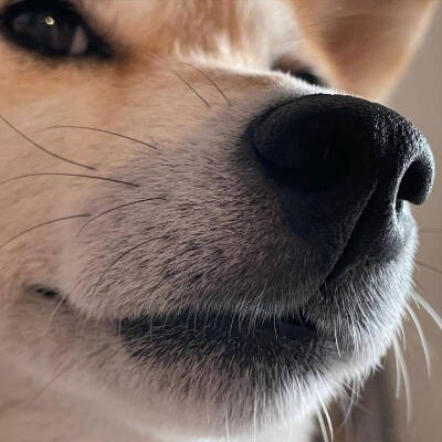 丶QXL 