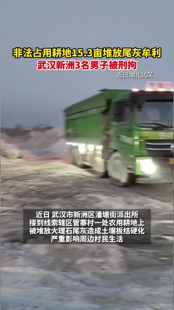非法占用耕地15.3亩堆放尾灰牟利,武汉新洲3名男子被刑拘