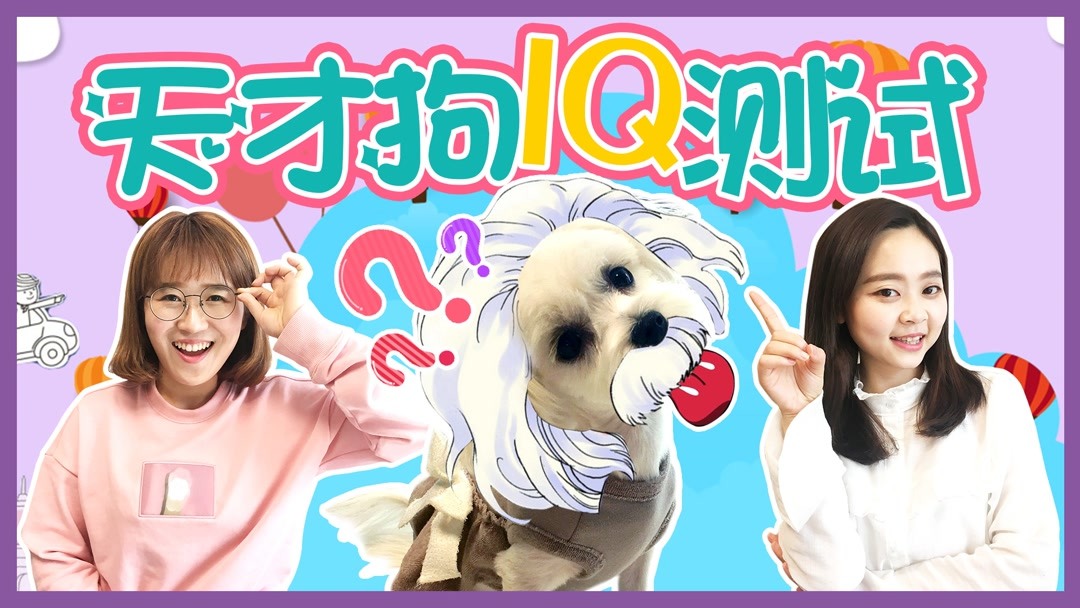 小伶玩具 第219集 狗狗智商测试 可可会是天才狗吗