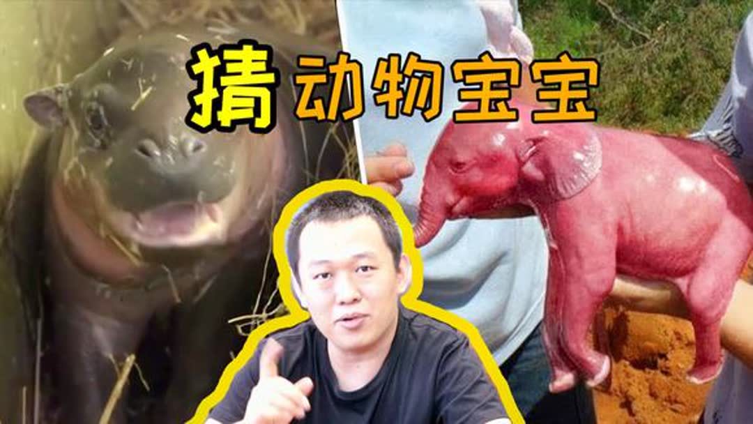 颠覆你认知的动物宝宝的成长过程