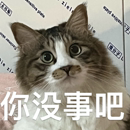大辛爱吃鱼 