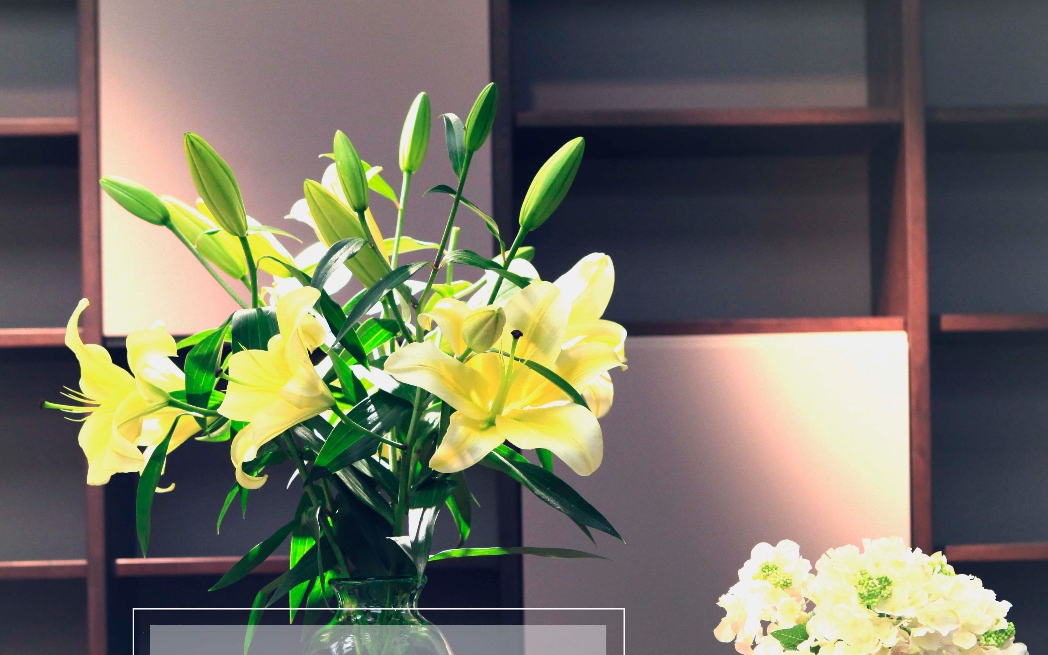 轻奢花艺零基础教学--第1课 基本花器工具花材介绍