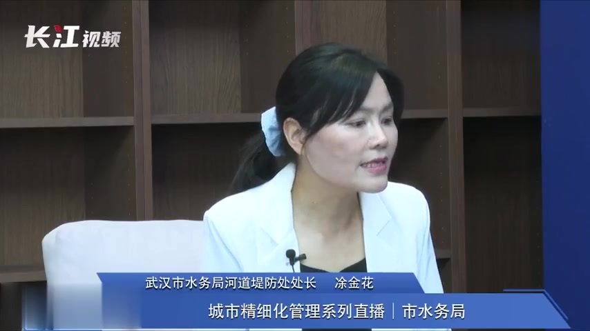 武汉这个江滩,每隔6米种植一棵樱花树