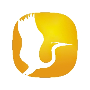 宁大网电NBUTV 