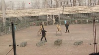 北京野生动物园表演人狮之吻!