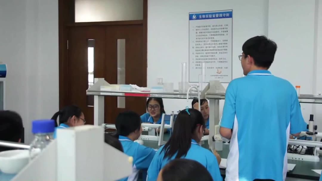 结果分析与评价