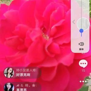 爱我4B8E 