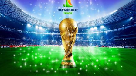 世界杯历届冠军之战, 谁能摘得最后的桂冠?