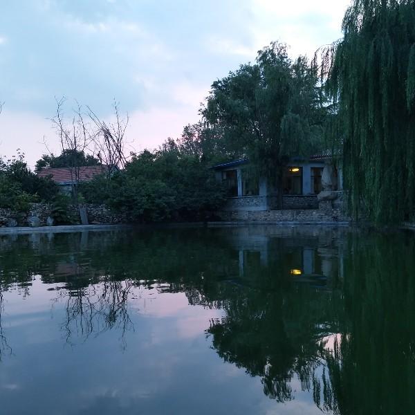 玄易问道 