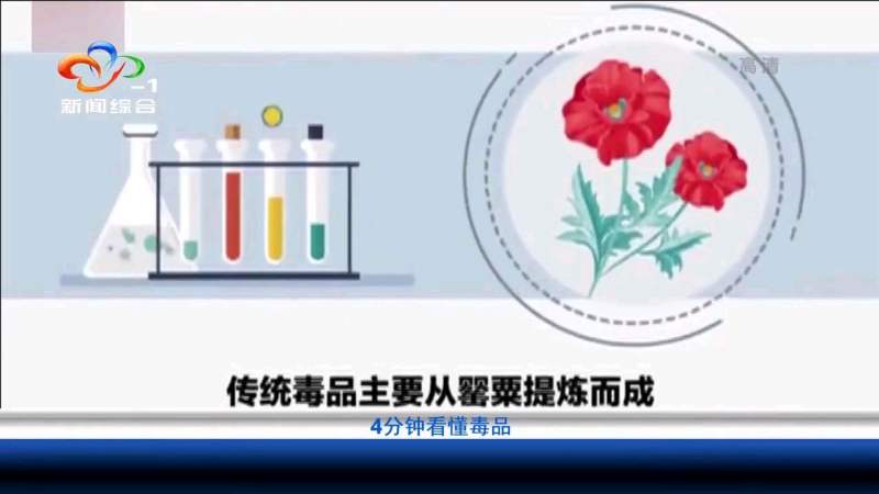 4分钟了解毒品的危害,珍爱生命远离毒品