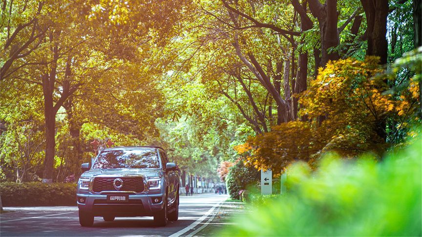 创业郊游宜商宜家 时尚商用皮卡金刚炮售8.88万元