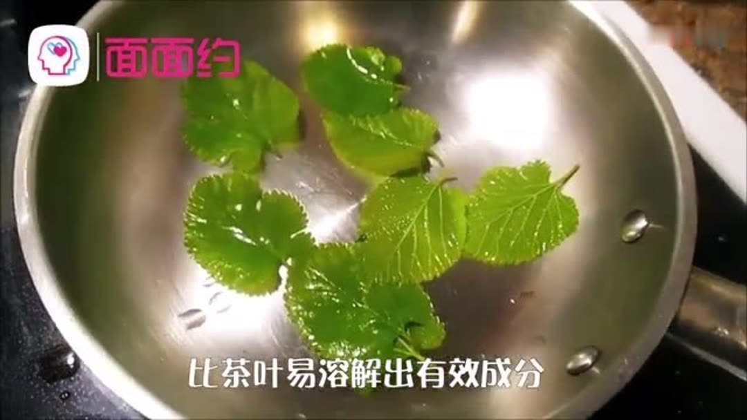 桑叶泡水喝, 是用干桑叶还是鲜桑叶好? 很多人都用错了