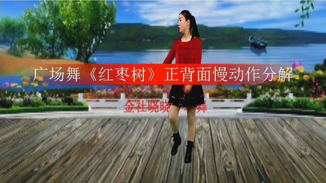 广场舞《红枣树》正背面慢动作分解