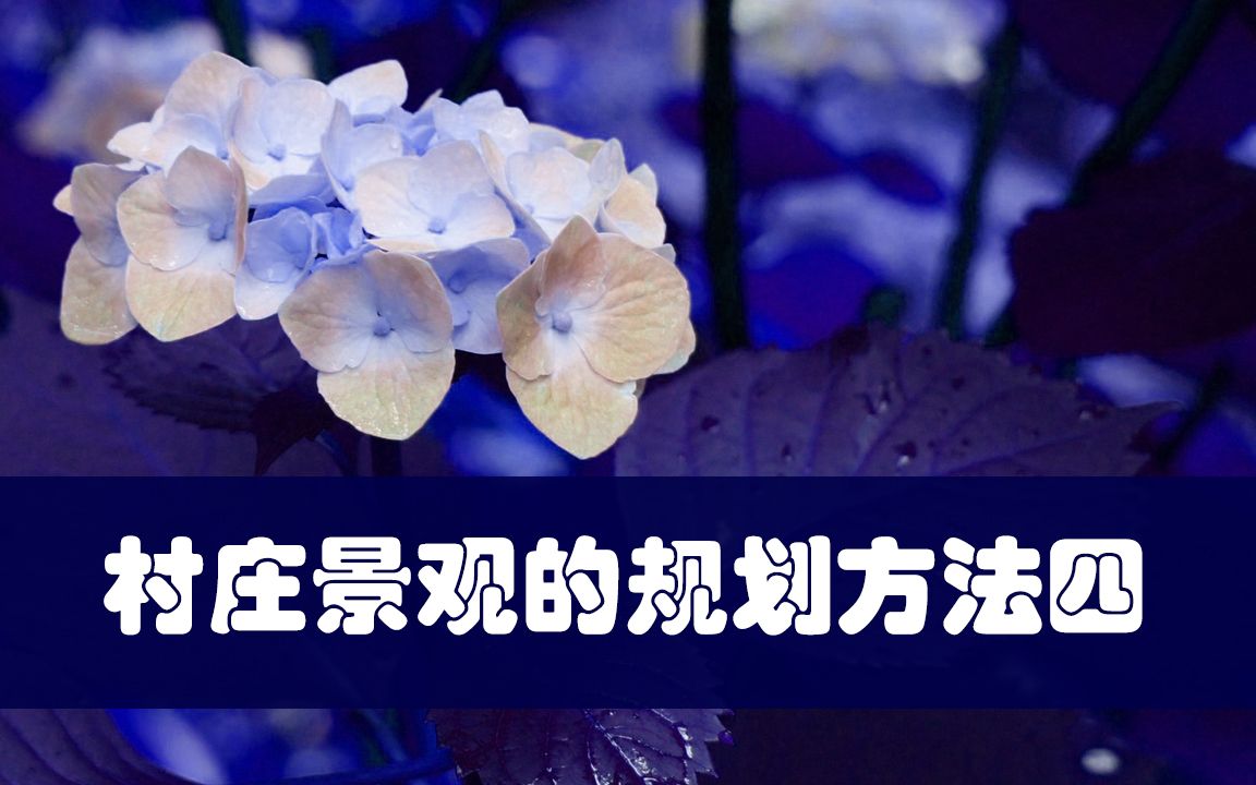 村庄景观的规划方法四