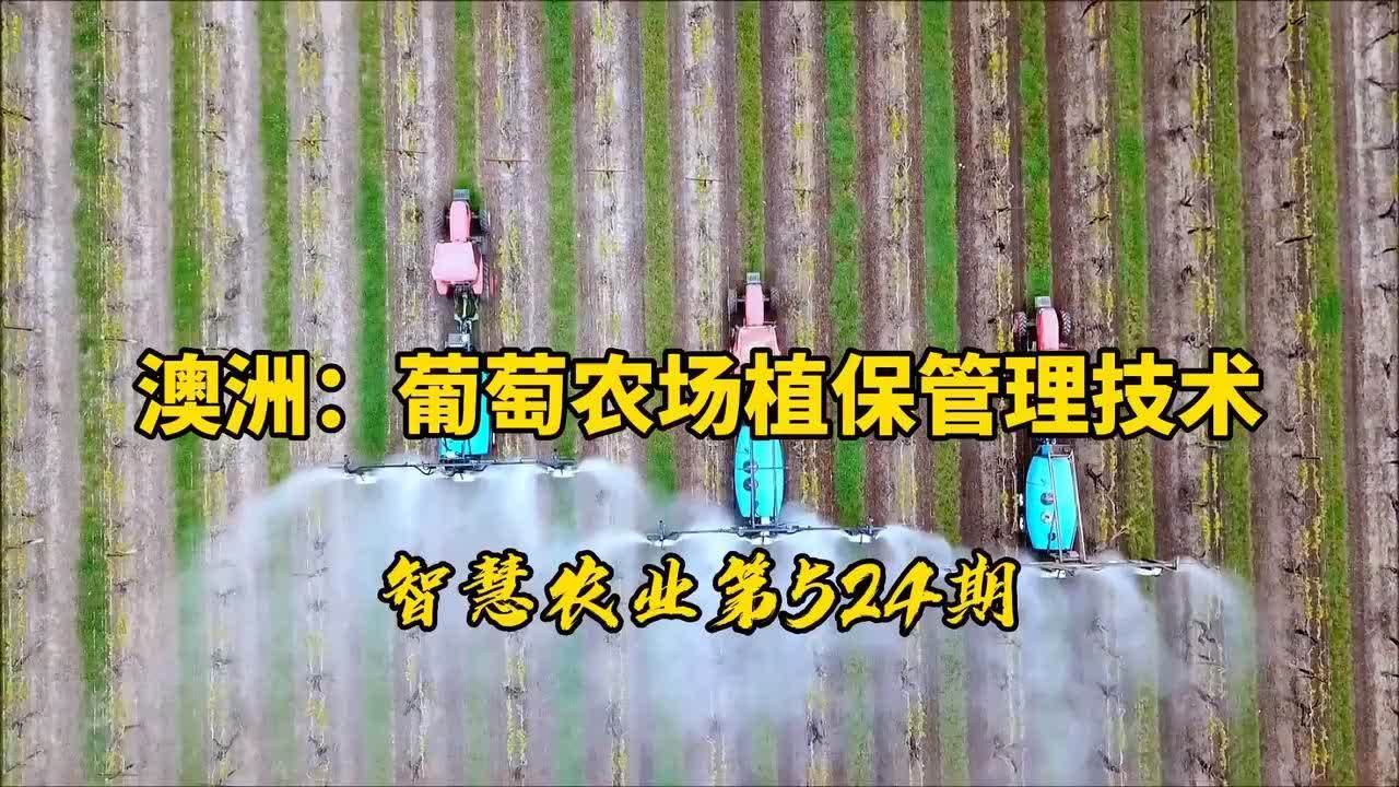 智慧农业524期:澳洲葡萄农场植保管理技术!标准化果园作业技术