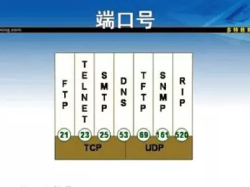 12(1)六个月成为网络专家网络基础tcpudp协议
