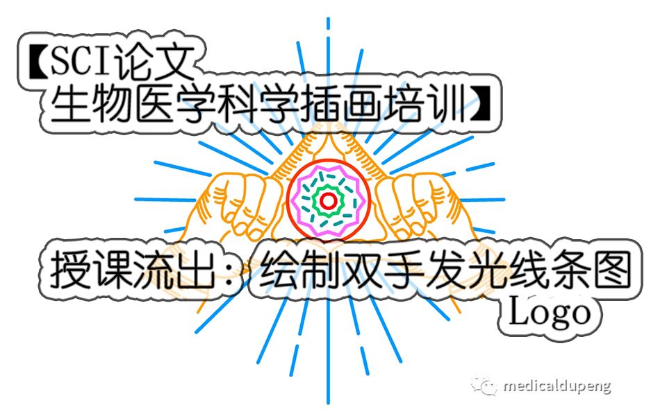 【SCI论文、生物医学科学插画培训 - 矢量图】授课视频流出:绘制双手...