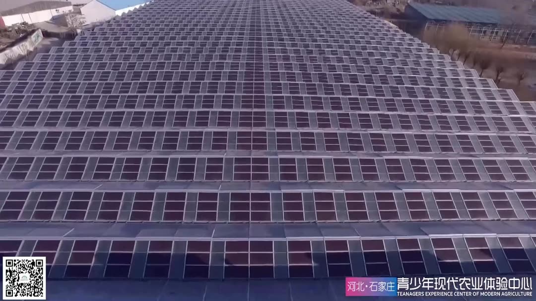 石家庄青少年现代农业体验中心(亲子乐园)简介