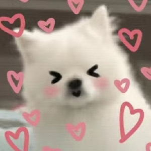 不对劲饿呢吧 