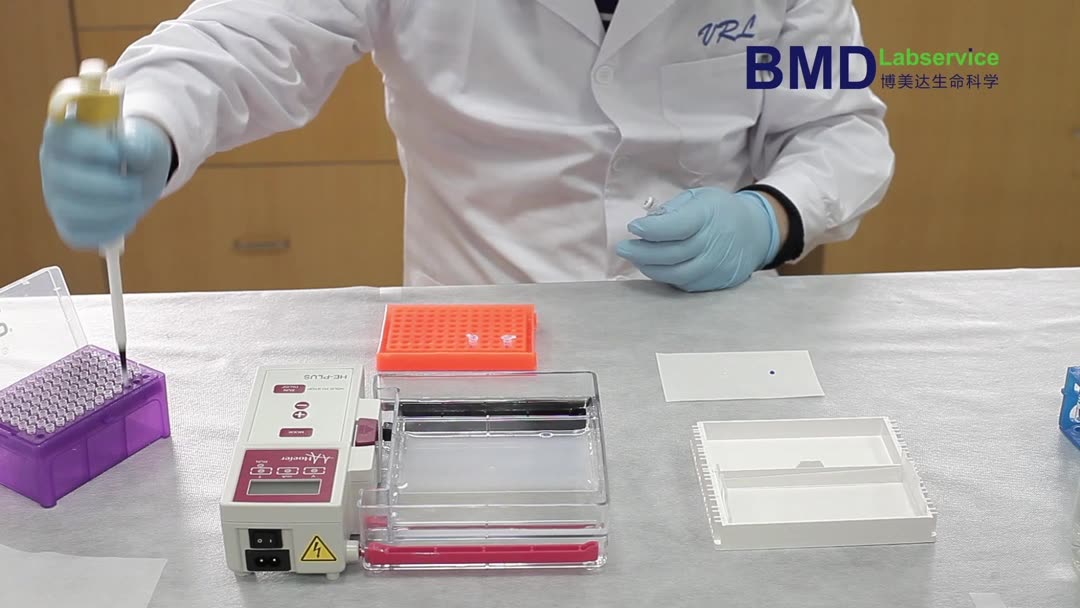 【博美达】Hoefer HE-PLUS水平凝胶电泳系统的操作使用方法