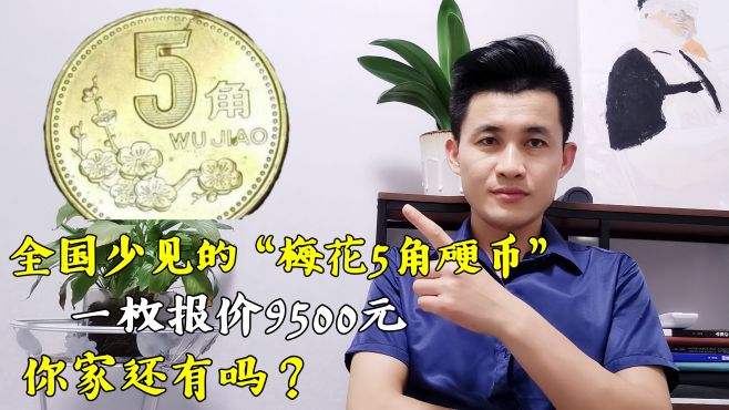 全国少见的梅花5角硬币,一枚报价9500元,谁有谁发财!