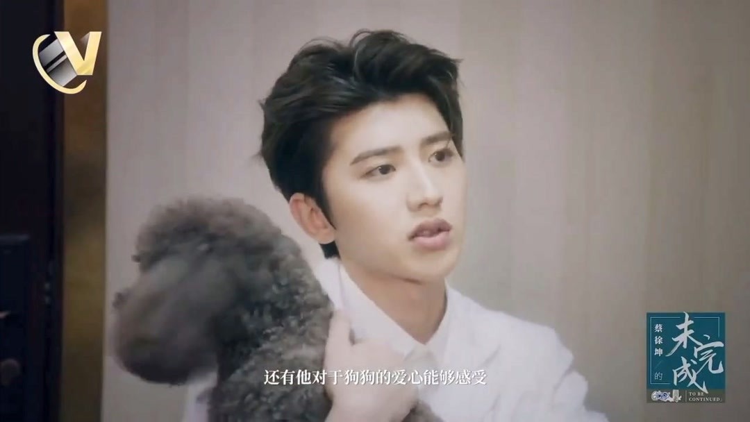 蔡徐坤宠物医院行程结束,却难以割舍与萌犬千千相处中建立的感情