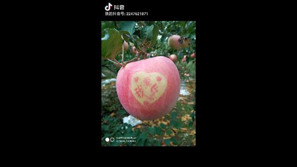 沂源红苹果我爱你喜欢你,你喜欢吗?