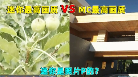我的世界:迷你最高画质和mc最高画质对比